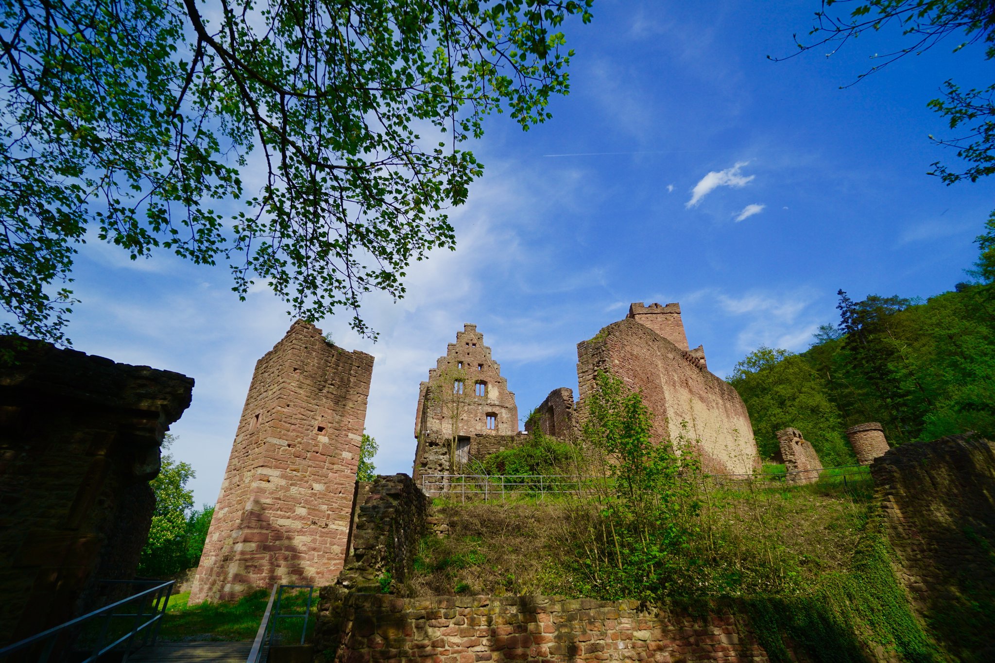 Auf zur Freudenburg! Frühlings-Impressionen rund um die sehenswerte ...