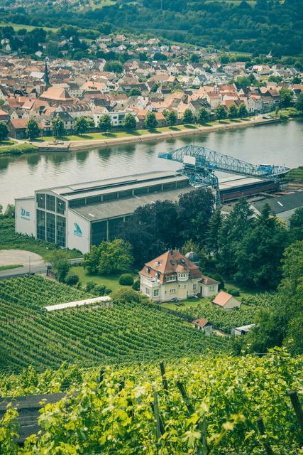 BILDERSERIE Wandern in der Region: Über den Rotweinwanderweg von ...