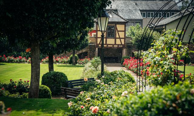 BILDERSERIE Wandern in der Region: Über den Rotweinwanderweg von ...