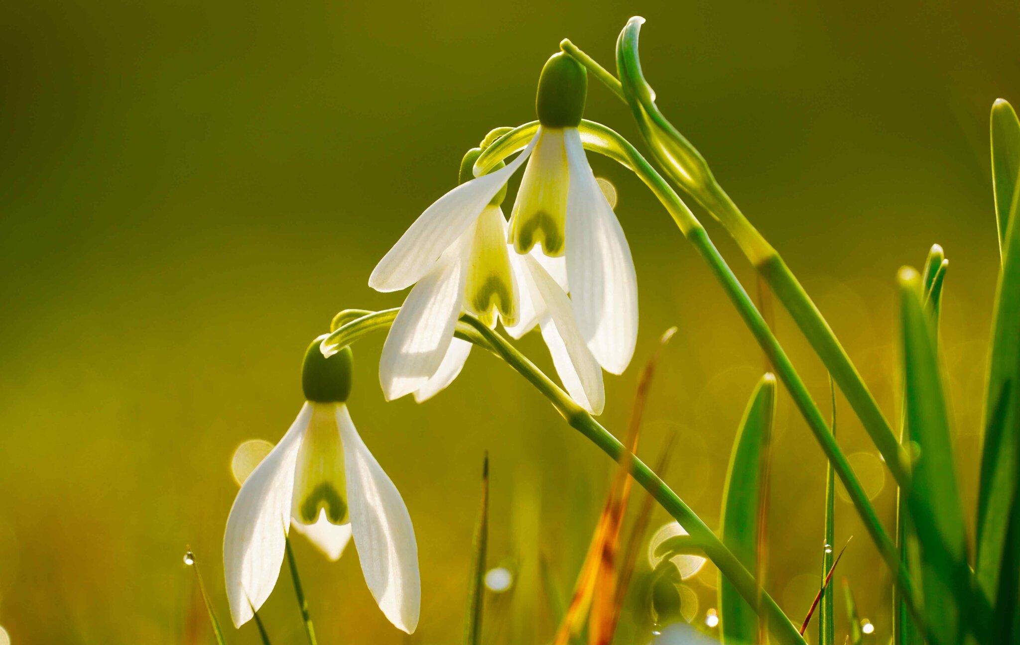 Bildergalerie und Essay: Endlich Frühling! - Miltenberg