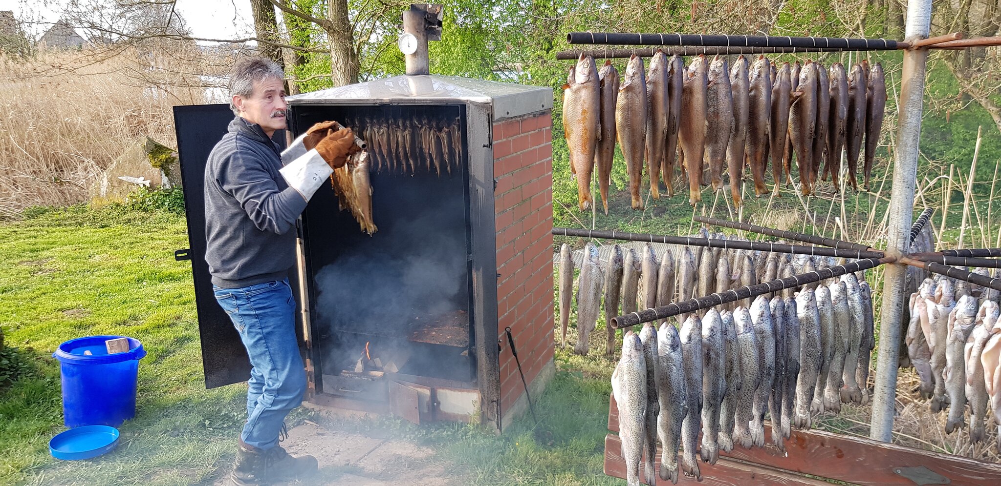 Forellen, frisch geräuchert: Delikatesse zu Ostern - jetzt fix bestellt ...