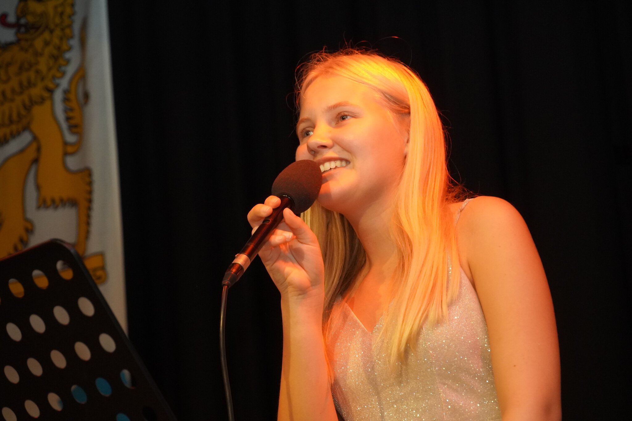 Bildergalerie und Essay.: Eindrucksvoller Ehren-Abend des Landkreises Miltenberg. - Miltenberg