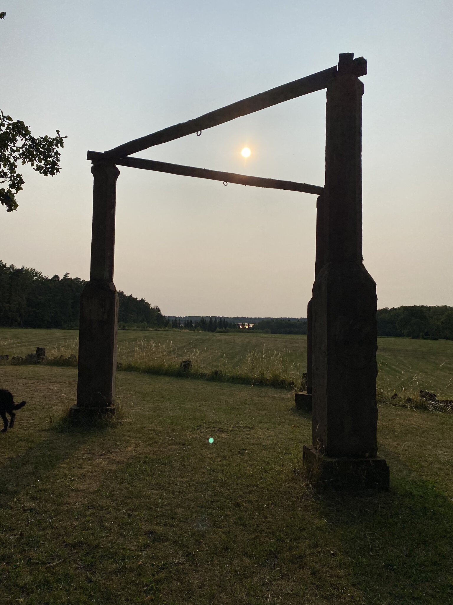 Natur: Abendrunde “Am Galgen“ in Mudau - Mudau