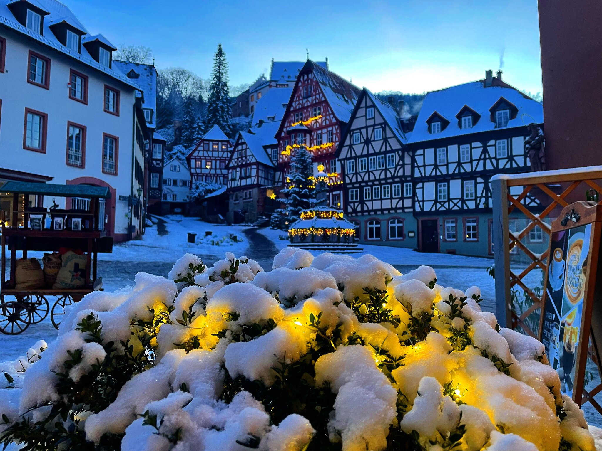 Bildergalerie und Essay: Winterliche Impressionen. - Miltenberg