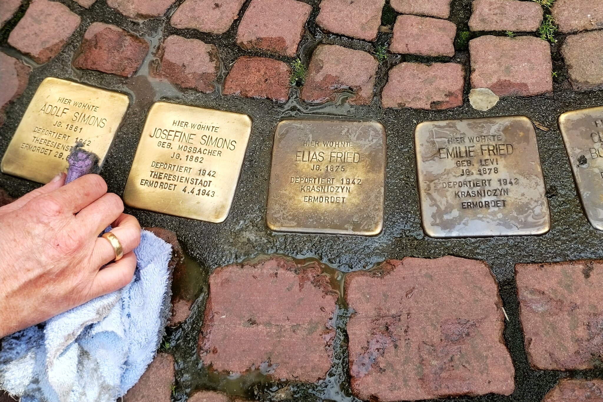 Stolpersteine gereinigt: Gegen das Vergessen - Stolpersteine glänzen ...