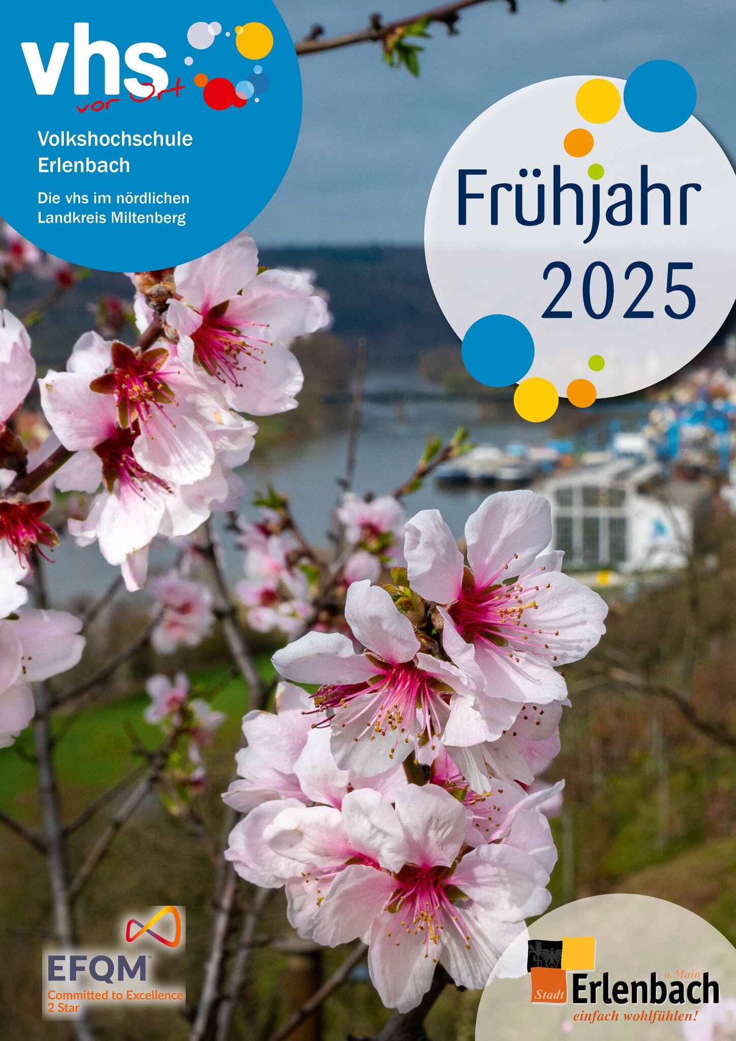 VHS Programm: VHS Frühjahr Programm ist online! - Erlenbach a.Main