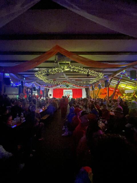 Bildergalerie und Essay: Teil 1 - Bunter Abend in Heppdiel am 7. Februar 2025 - Fortsetzung ...