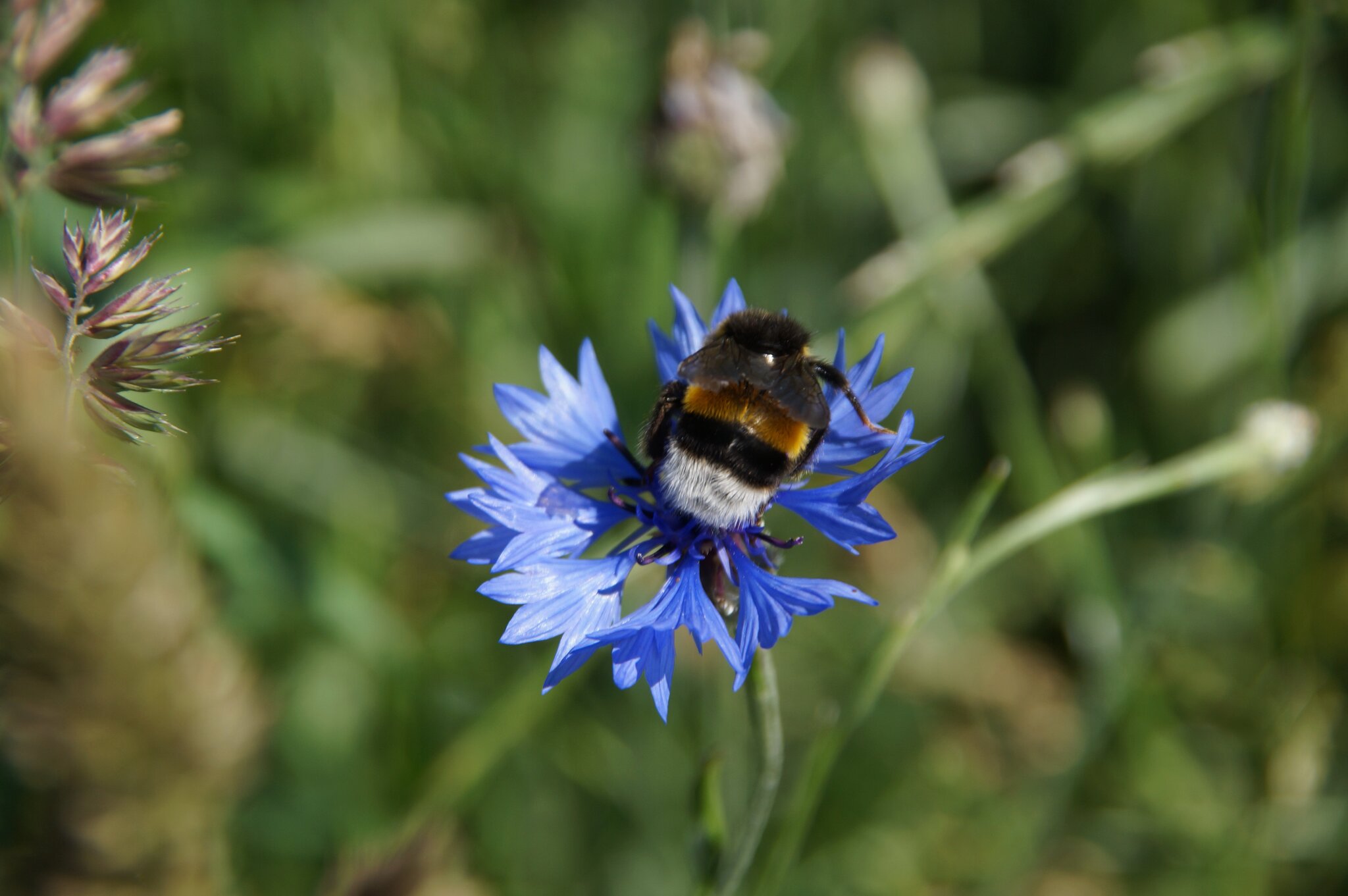 Ein schöner Rücken kann auch entzücken